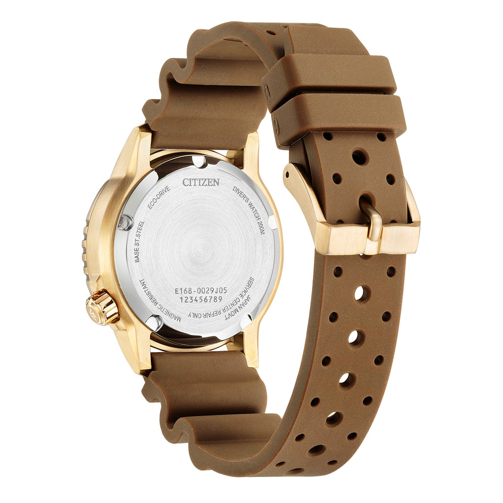 Citizen Promaster Unisex Eco-Drive WR200 EO2022-02A – Granbergs Watches